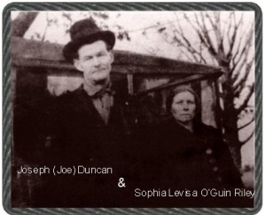 George Washington & Melvina (Gunter) O'Guin - Lewis County TNGenWeb