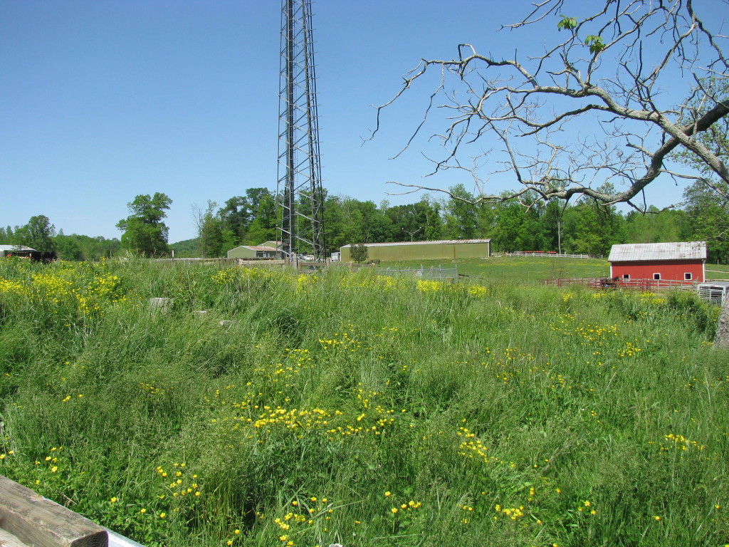 Gott-Gallaway Cemetery – Sullivan County TN Genealogy